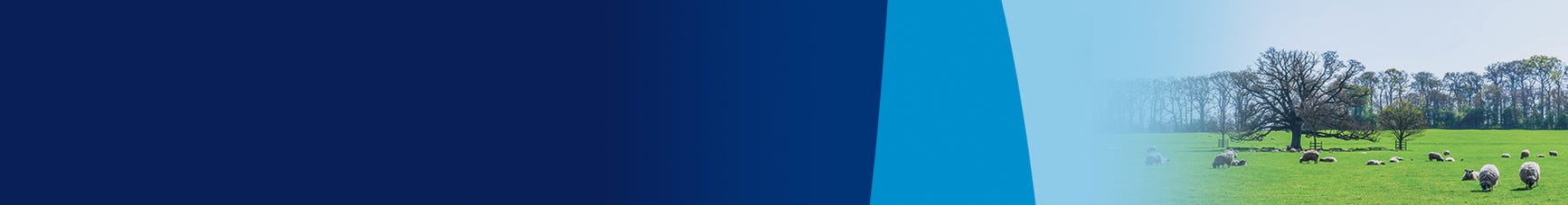 Lambing Essentials Products - Battles