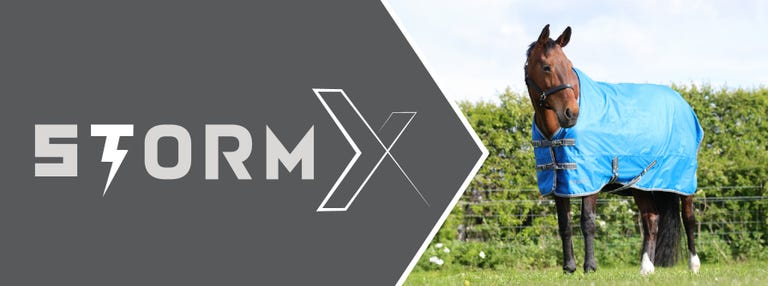 StormX - Battles