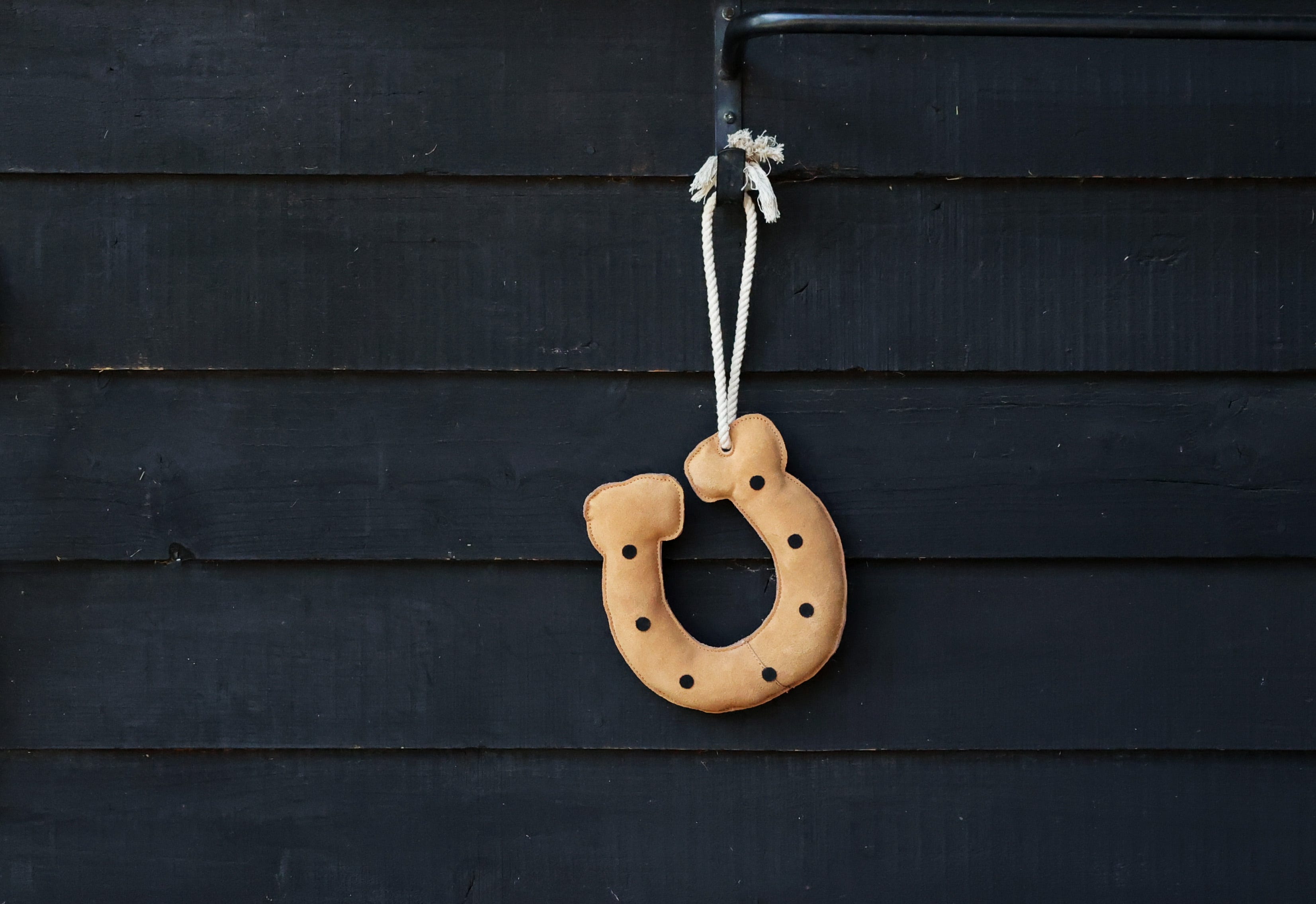 Hy Equestrian Stable Toy - Clippity Clop Horseshoe - Battles