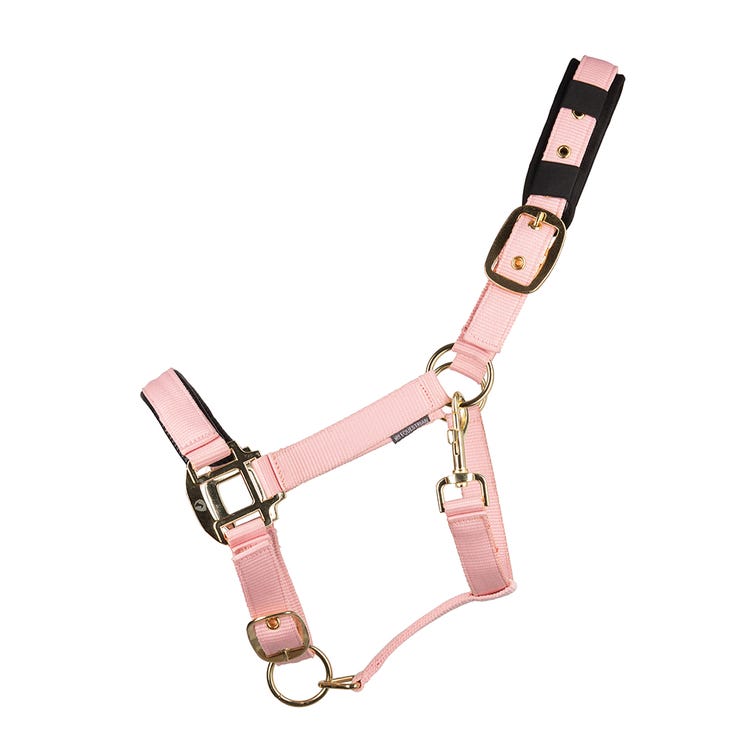 Hy Equestrian Deluxe Padded Head Collar - Battles