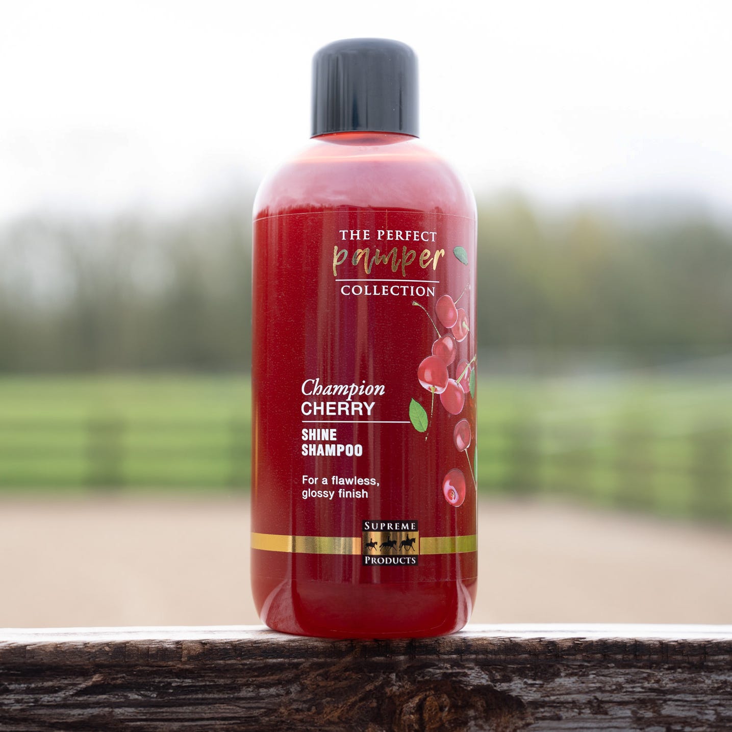 Supreme Products Champion Cherry Shine Shampoo - Battles
