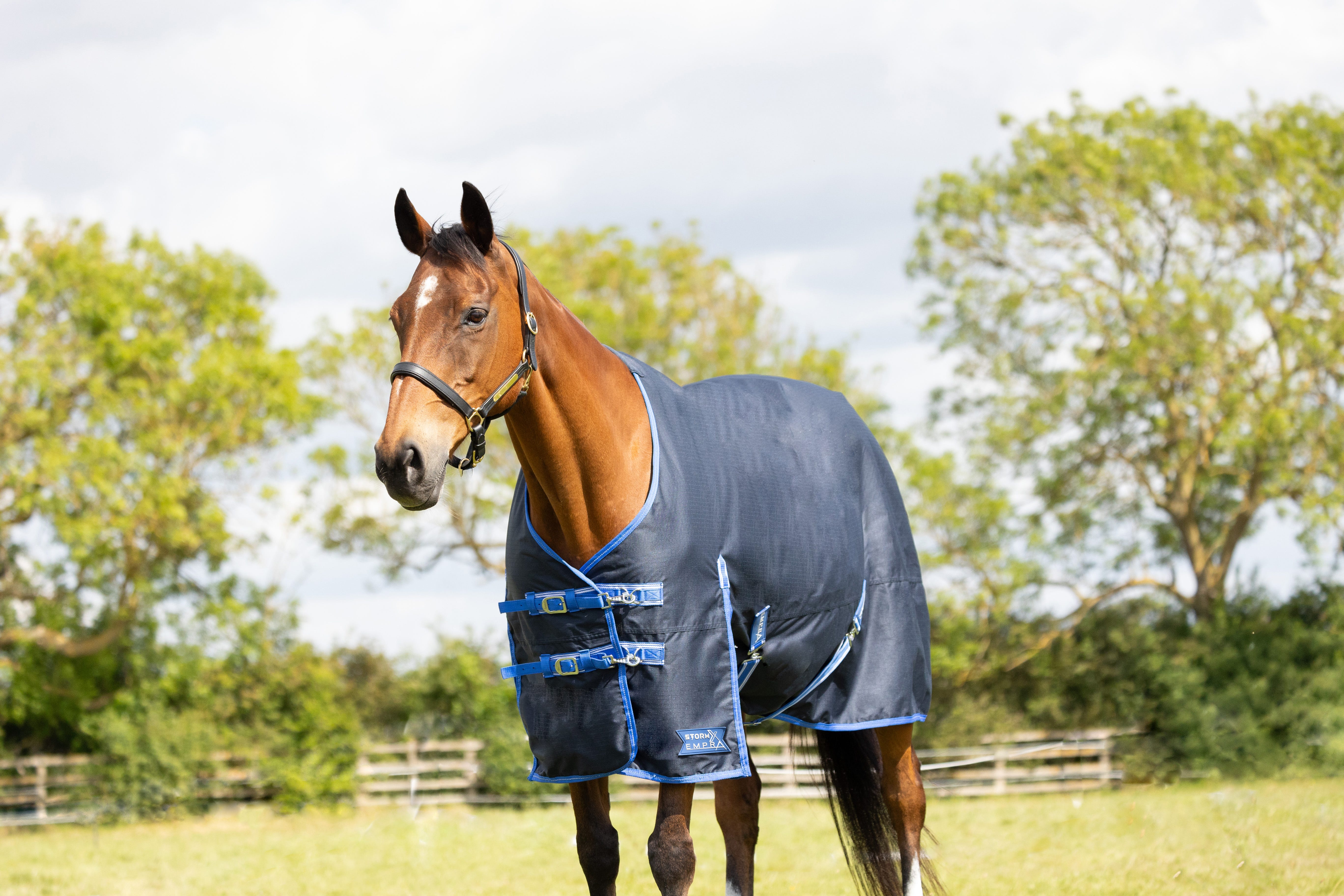 StormX Empra Reflect 0g Turnout Rug - Battles