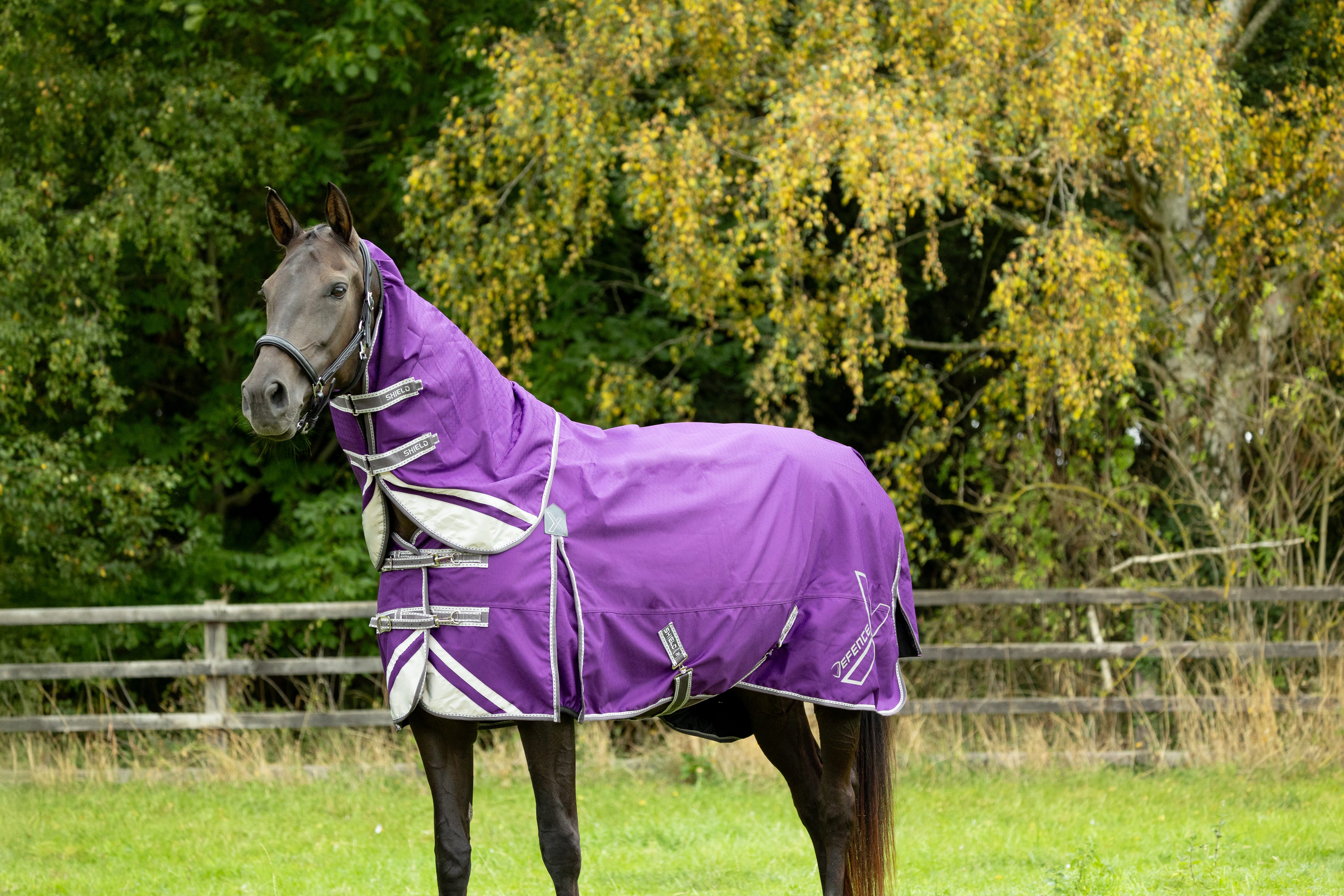 DefenceX Shield 0g Turnout Rug with Detachable Neck - Battles
