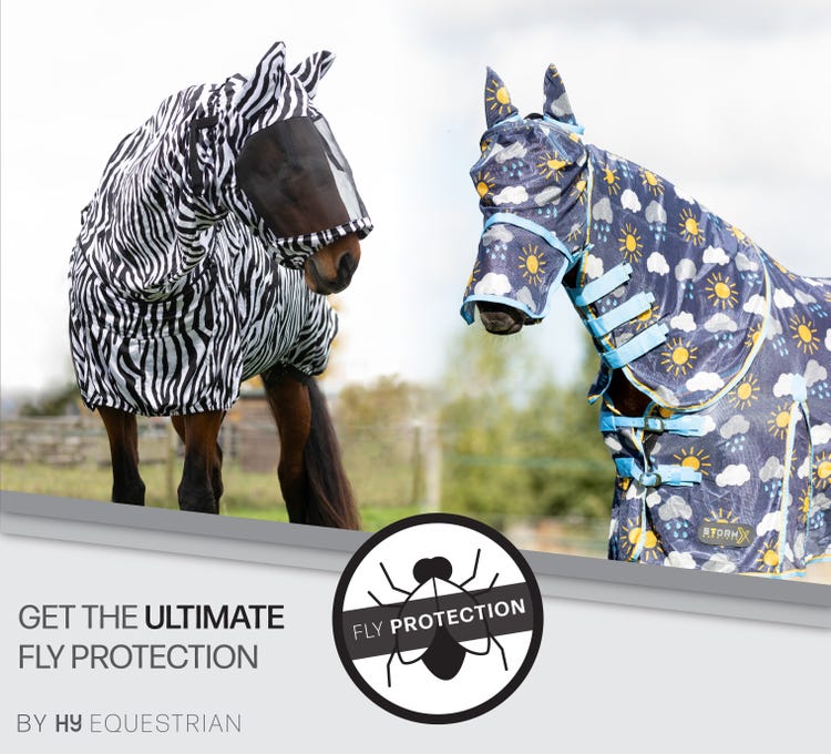 Leading Equestrian Supplies & Pet Care | Battles 🐎